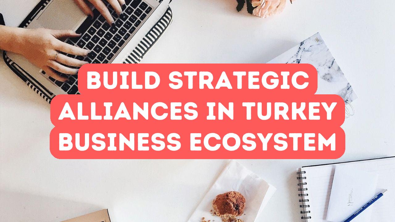 How to Build Strategic Alliances in Turkey’s Business Ecosystem